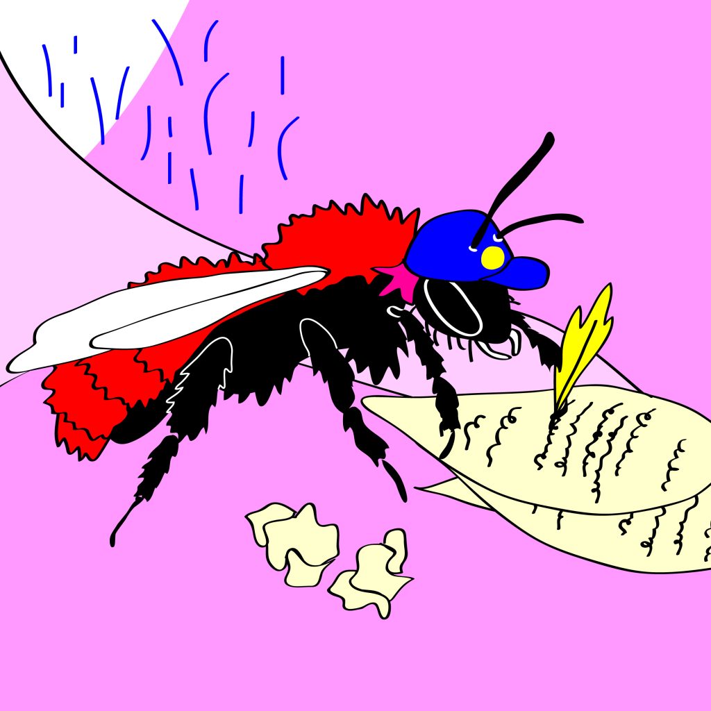 NBS Comics – nature to save the world
